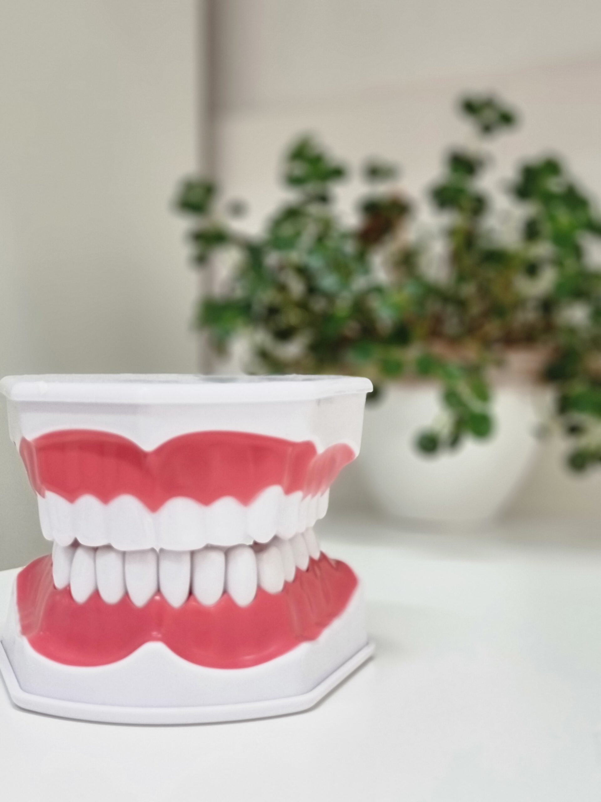 Prophylaxe - FaireDentaire